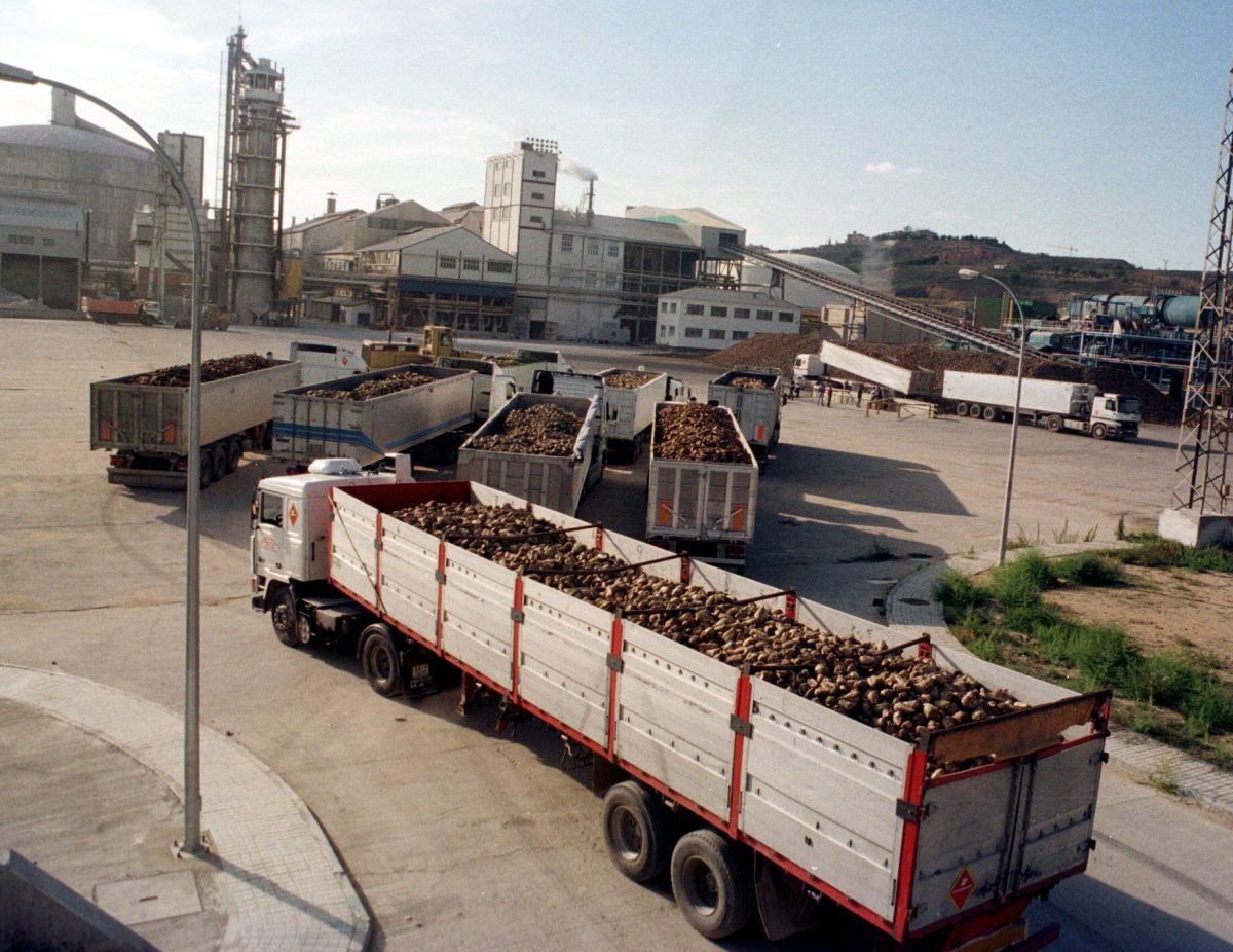Azucarera da por finalizada su campaña en Toro