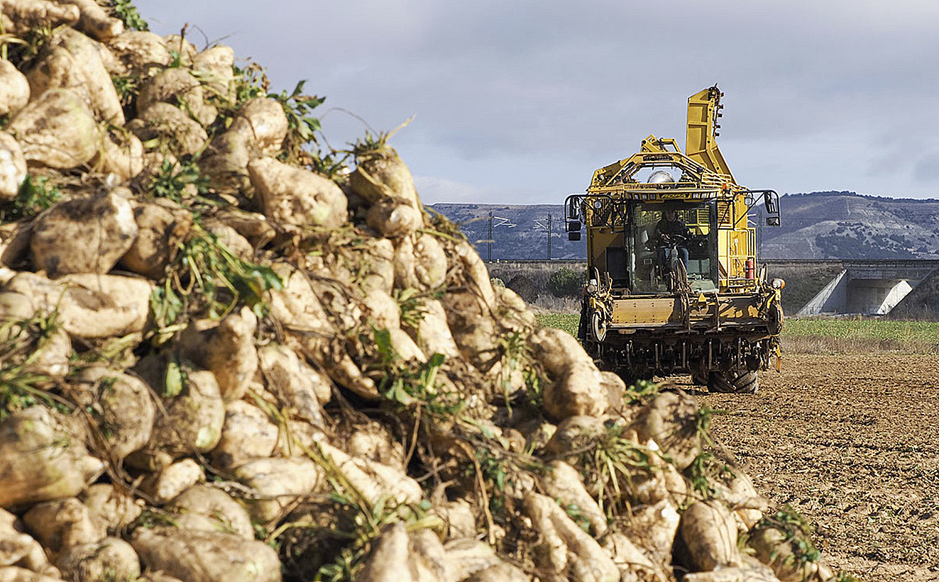 La azucarera española ACOR implantará el sistema "punto cero", en el ...