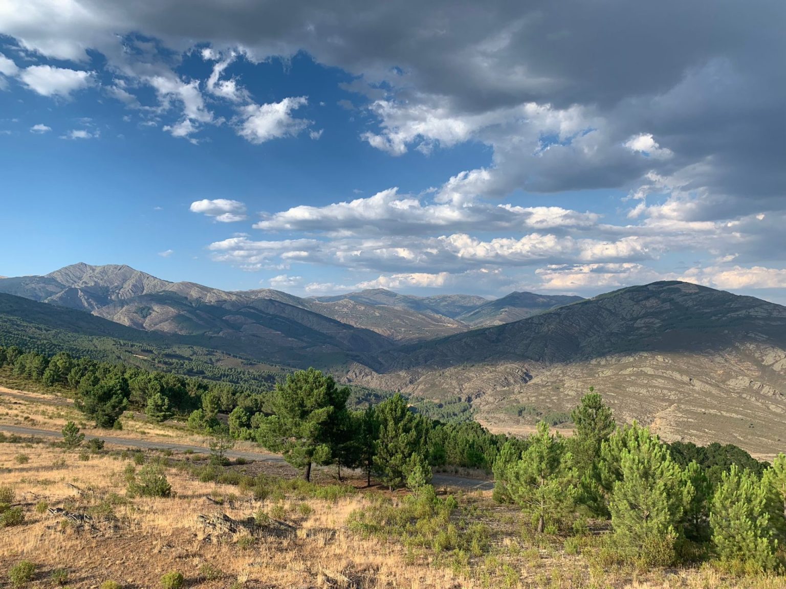 Satélites e inteligencia artificial, la semilla en la red para los ...