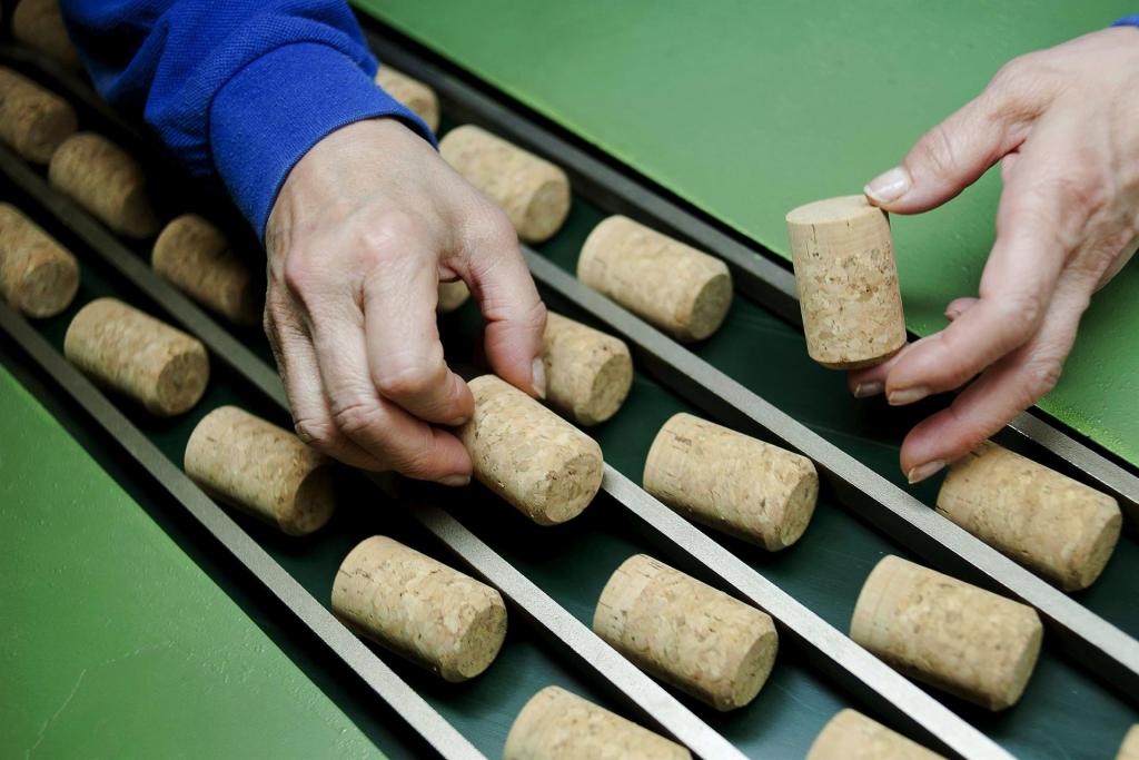 El sector del corcho supera años de vaivén y liga su evolución al ...