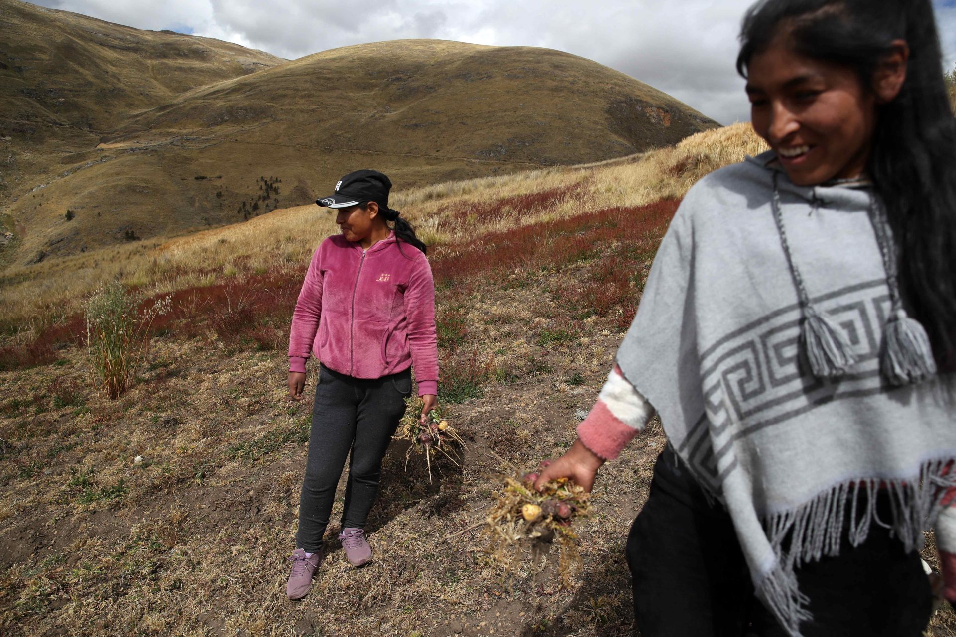 Los jóvenes de los Andes peruanos que sueñan con expandir el valor de ...