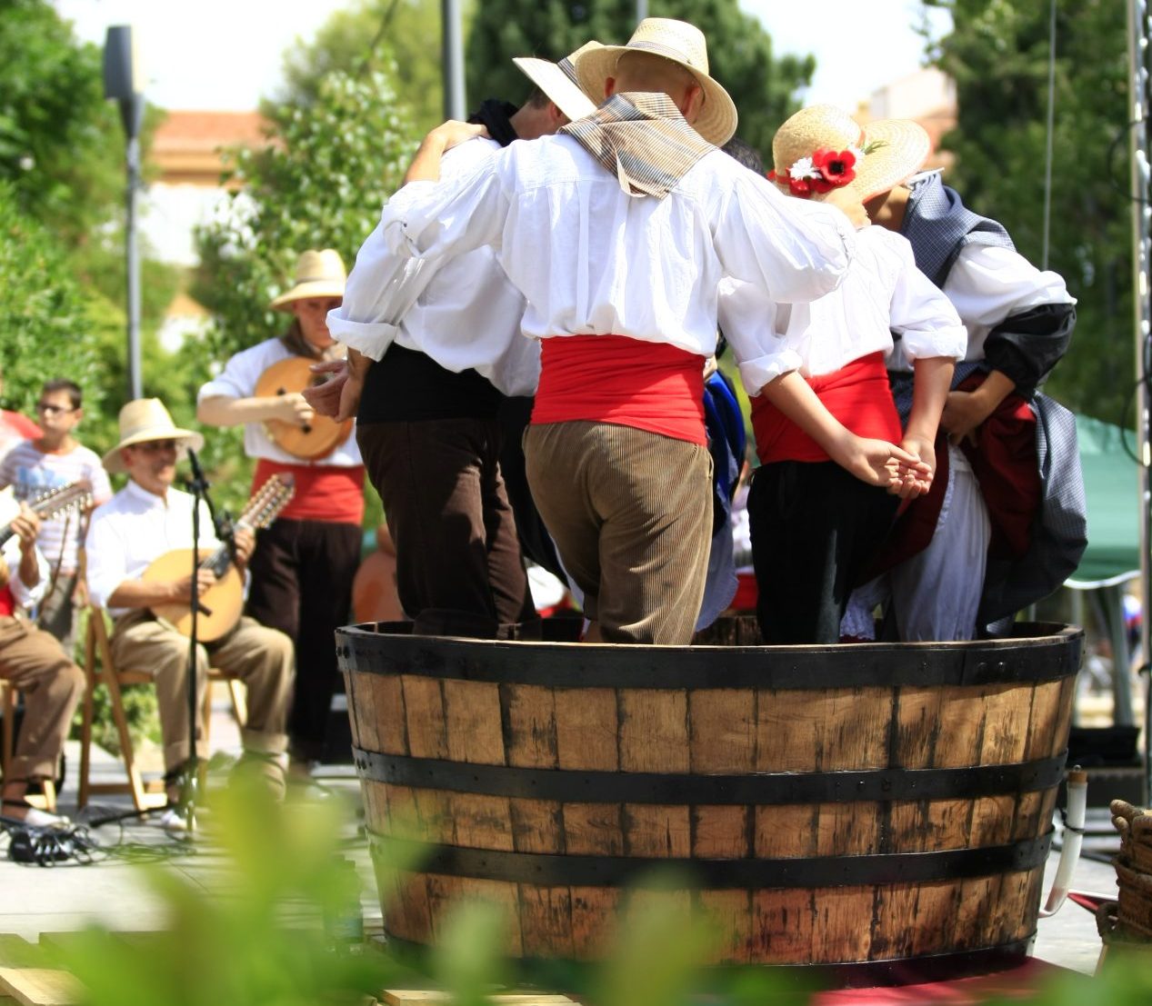 Fiesta de la vendimia, la celebración de las raíces de campo para mirar ...