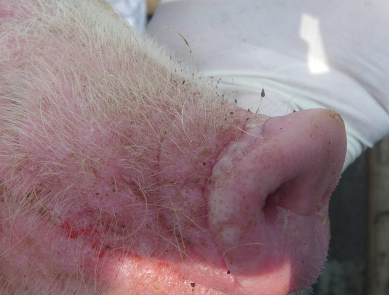 Tempat bokep she totally is eager to please, and is super