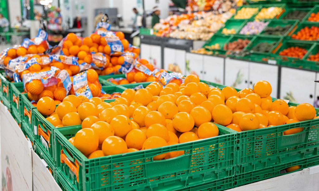 Mercadona comercializará 131.000 toneladas de naranja nacional - EFEAgro